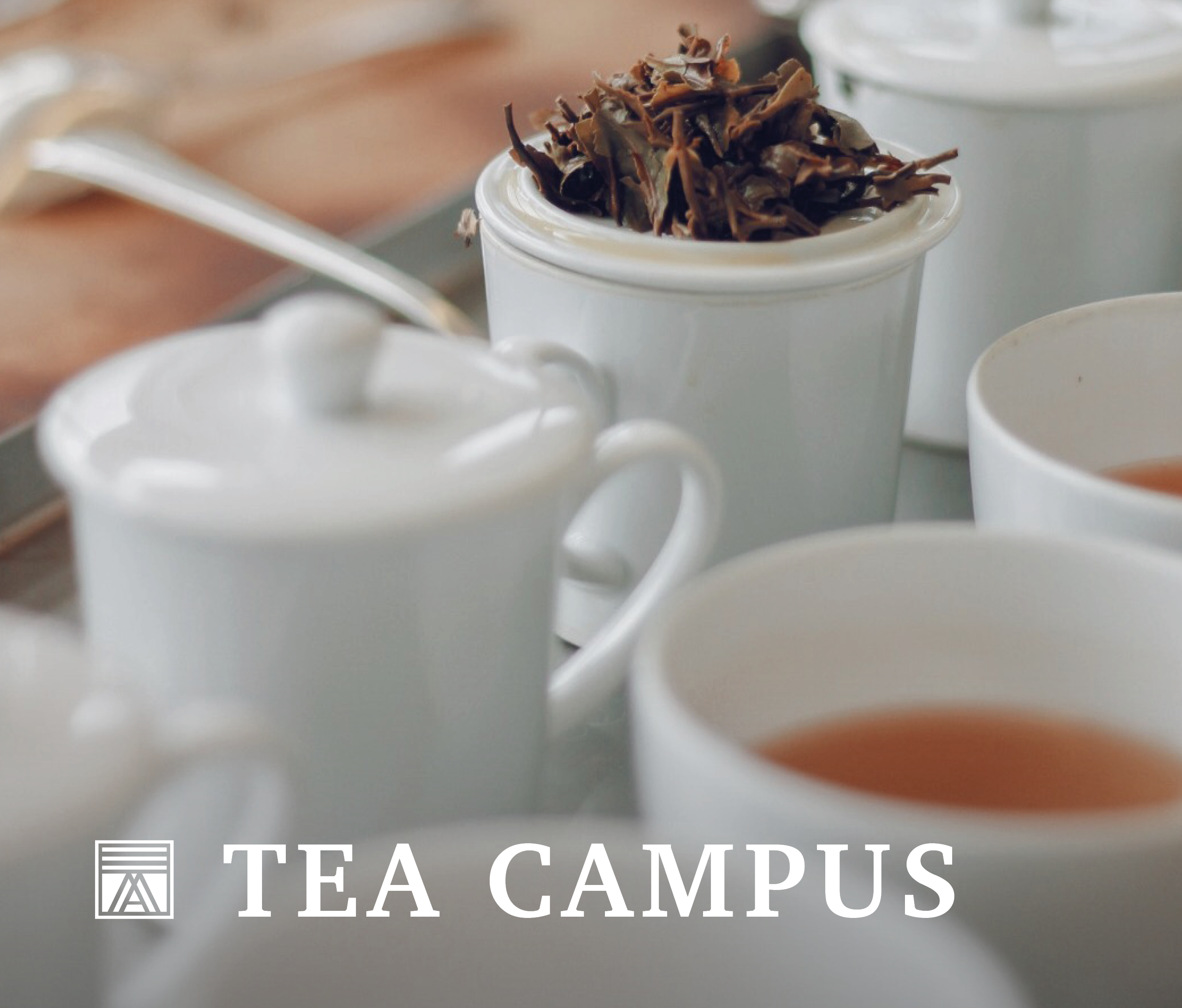Bei ILIAS anmelden: Althaus Tea Campus